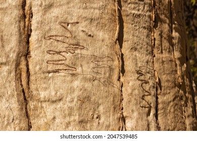 272 Squiggly lines Stock Photos, Images & Photography | Shutterstock