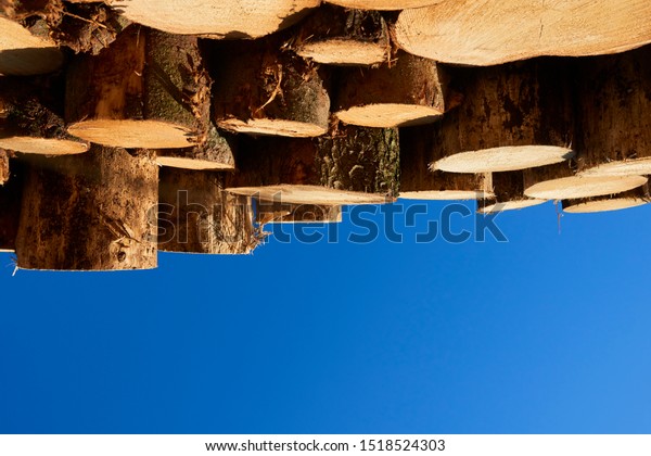 Tree Trunks Falling Down Sky Cuts Stock Photo 1518524303 | Shutterstock