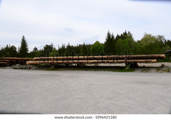 Tree Trunks River Isar Assembly Raft Stock Photo 1096421180 | Shutterstock