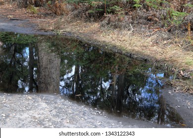411 Upside down puddle Images, Stock Photos & Vectors | Shutterstock