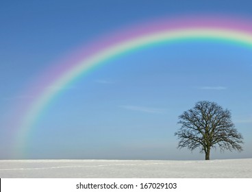 65,298 Rainbow in winter Images, Stock Photos & Vectors | Shutterstock