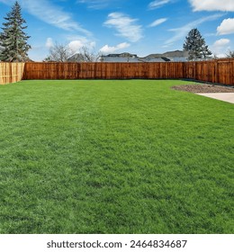 Treeless Nice Open Empty Backyard Green AI-generated image 2464830613 ...
