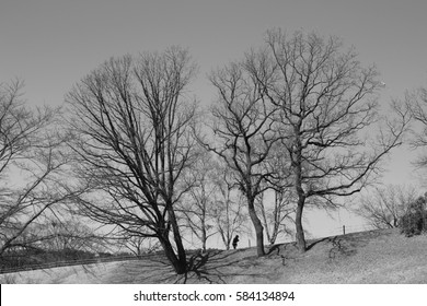 Yearning Spring Stock Photo 517307 | Shutterstock