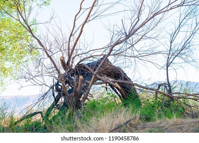 212 Green mutilated Images, Stock Photos & Vectors | Shutterstock