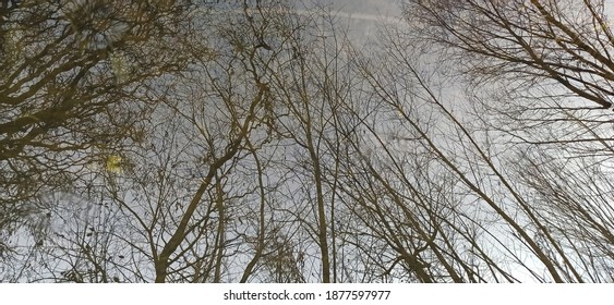 Clogged forest Images, Stock Photos & Vectors | Shutterstock