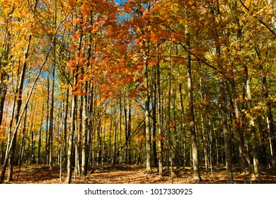 Stock Photo and Image Portfolio by Dylan Galbraith | Shutterstock