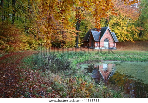 Trees Forest Denmark Before Night Fall Stock Photo (Edit Now) 44368735