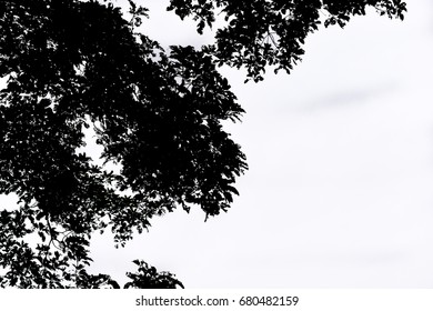 Tree Branch Corner Illustration Set Vector Stock Vector (Royalty Free ...