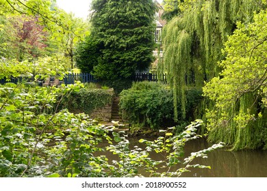 1,389 Trees overhanging river Images, Stock Photos & Vectors | Shutterstock