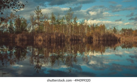 Trees Reflection Lake Stock Photo 494399320 | Shutterstock
