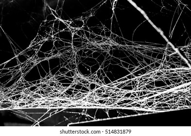 Triangle Horror Cobweb Spider Web Isolated Foto stock 518532133 ...