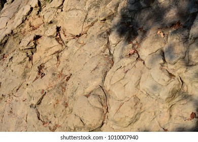 Tropical Rock Surface Structure Pattern Wallpaper Stock Photo ...