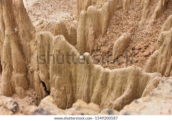 Tropical Soil Erosion Pattern Structure Background Stock Photo ...