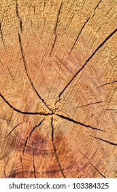 Trunk Profile Background Usage Stock Photo 103384325 | Shutterstock