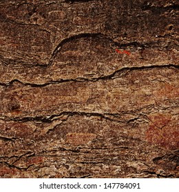 Trunk Texture Stock Photo 147784091 | Shutterstock