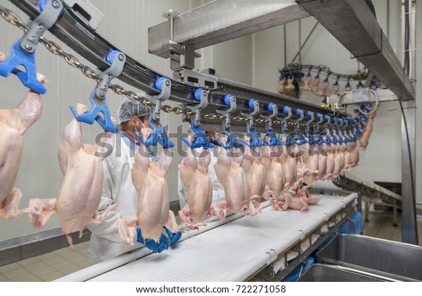 Turkey June 15 2017 Processing Factory Stock Photo (Edit Now) 722271058