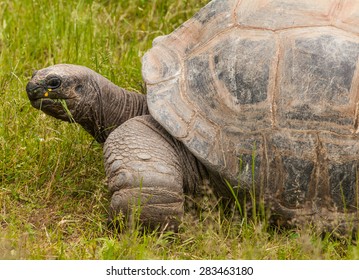 158 Slow response Images, Stock Photos & Vectors | Shutterstock