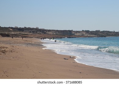 Turtle beach cyprus : 610 images, photos et images vectorielles de ...