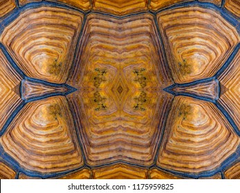 129 Marbling carapace Images, Stock Photos & Vectors | Shutterstock