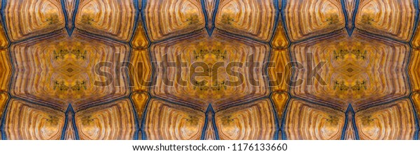 Turtle Carapace Close Texture Pattern Turtle Stock Photo 1176133660 ...