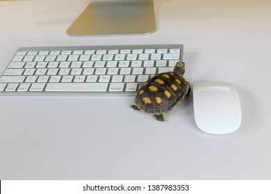 280 Network monitoring cartoon Stock Photos, Images & Photography ...