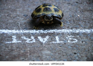 5,236 Slow start Images, Stock Photos & Vectors | Shutterstock