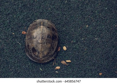 Unenterprising Images, Stock Photos & Vectors | Shutterstock