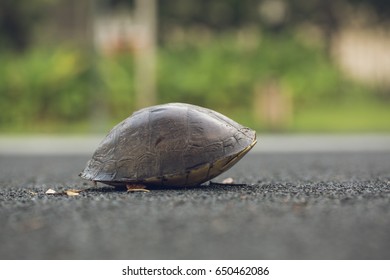 Unenterprising Images, Stock Photos & Vectors | Shutterstock