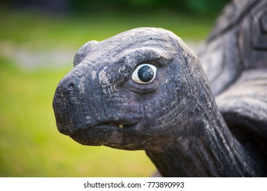 11 Gabriela isoler Images, Stock Photos & Vectors | Shutterstock