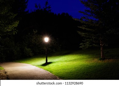 9 Light unto my path Images, Stock Photos & Vectors | Shutterstock