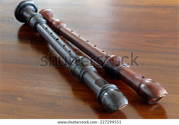 Two Baroque Recorders Musical Instruments Made Stock Photo 227294551 ...