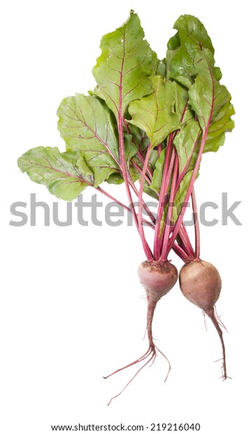 Two Beet Roots Isolated On White Stock Photo 219216040 | Shutterstock
