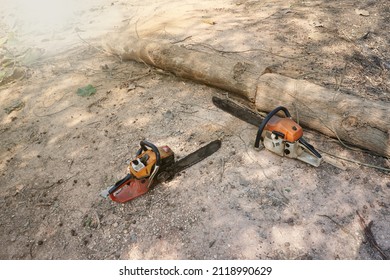 Two handled saw Stock Photos, Images & Photography | Shutterstock