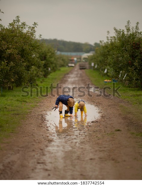 Two Children Playing Puddle Stock Photo 1837742554 | Shutterstock