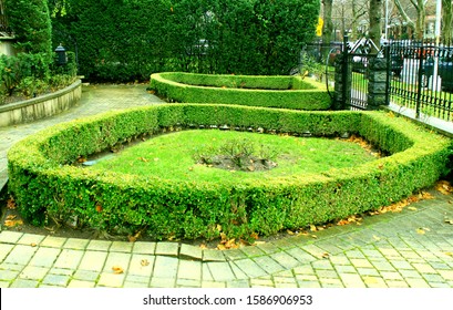 Two Circle Shape Elegantly Manicured Plants Stock Photo (Edit Now ...
