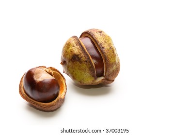 Two Conkers Stock Photo 37003195 | Shutterstock