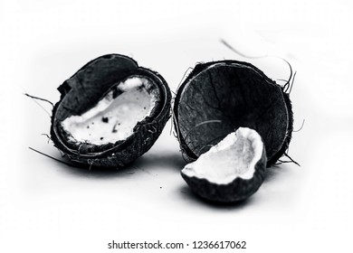 Two Cut Sliced Dried Coconuts Isolated Stock Photo 1236617062 ...