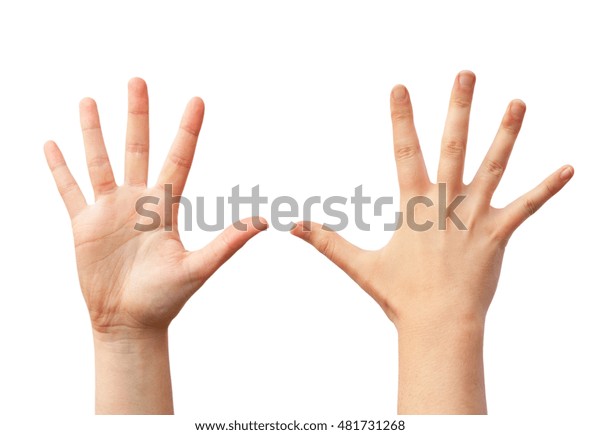 Two Empty Human Hands Front Back Stock Photo (Edit Now) 481731268
