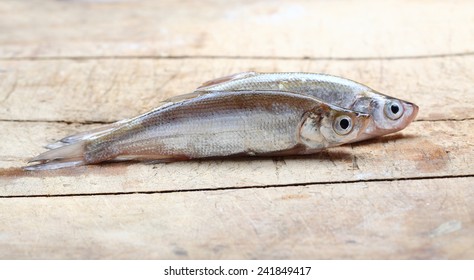 Two Fish Stock Photo (Edit Now) 241849417