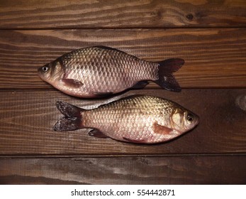 5,238 Two fish heads Images, Stock Photos & Vectors | Shutterstock