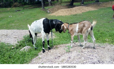 Stock Photo and Image Portfolio by DonJuanImage | Shutterstock