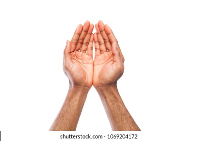Two Hand Holding Offering Something Isolated Stock Photo 1069204172 ...