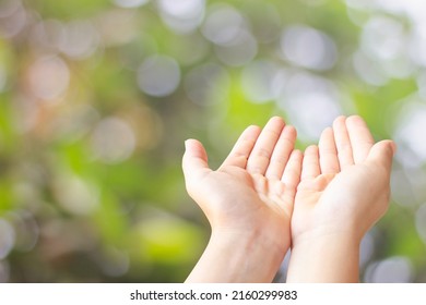 920 Open hands receiving light Stock Photos, Images & Photography ...