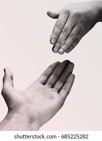 Two Hands Stock Photo 685225282 | Shutterstock