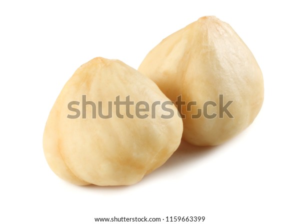Two Hazelnuts Isolated On White Background Stock Photo 1159663399 ...