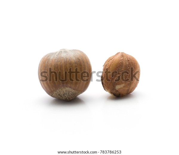 Two Hazelnuts Isolated On White Background Stock Photo 783786253 ...