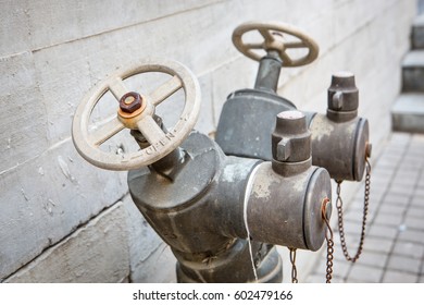 Two Head Red Fire Hydrant Water Stock Photo 602479166 | Shutterstock