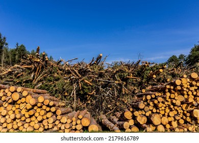 77,765 Logs branches Images, Stock Photos & Vectors | Shutterstock
