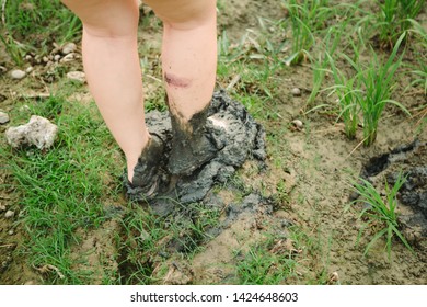 335 Sinking In The Mud Images, Stock Photos & Vectors | Shutterstock