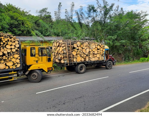 Two Lorries Loaded Timber Stock Photo 2033682494 | Shutterstock